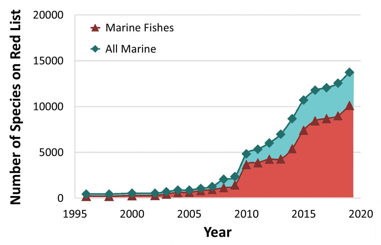 About the Global Marine Species Assessment | Global Marine Species ...