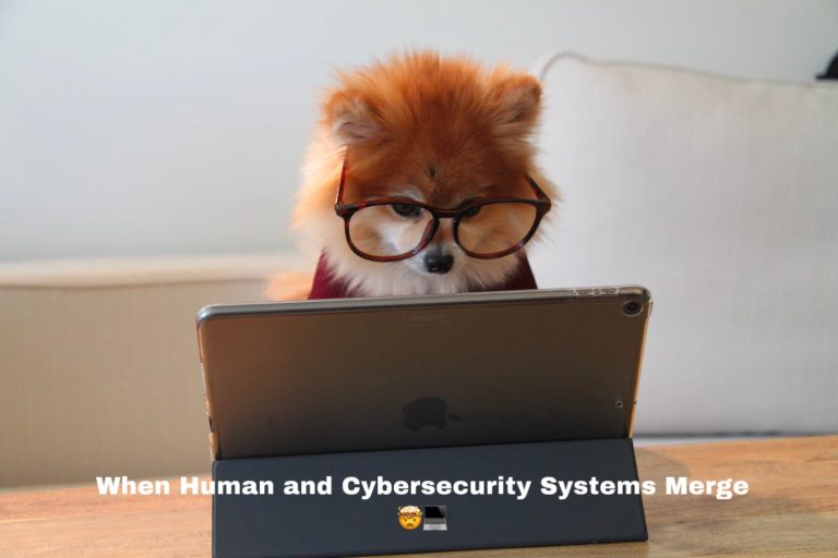 Cybersecurity Human Systems Integration Framework Meme | anthony-gomez