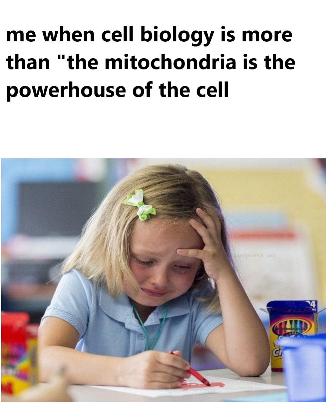Cell Biology Meme Cell biology mqt Cell Biology Meme Cell biology mqt
