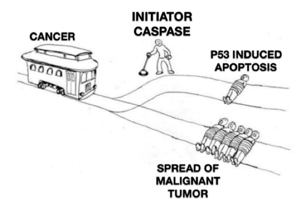 Cell Bio Meme | Biology
