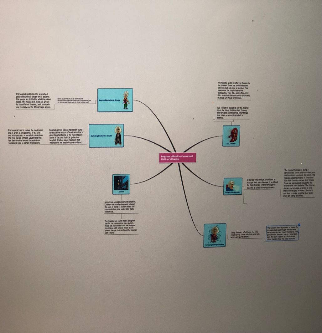 Task Four - Mind Map | Cumberland Children's Hospital