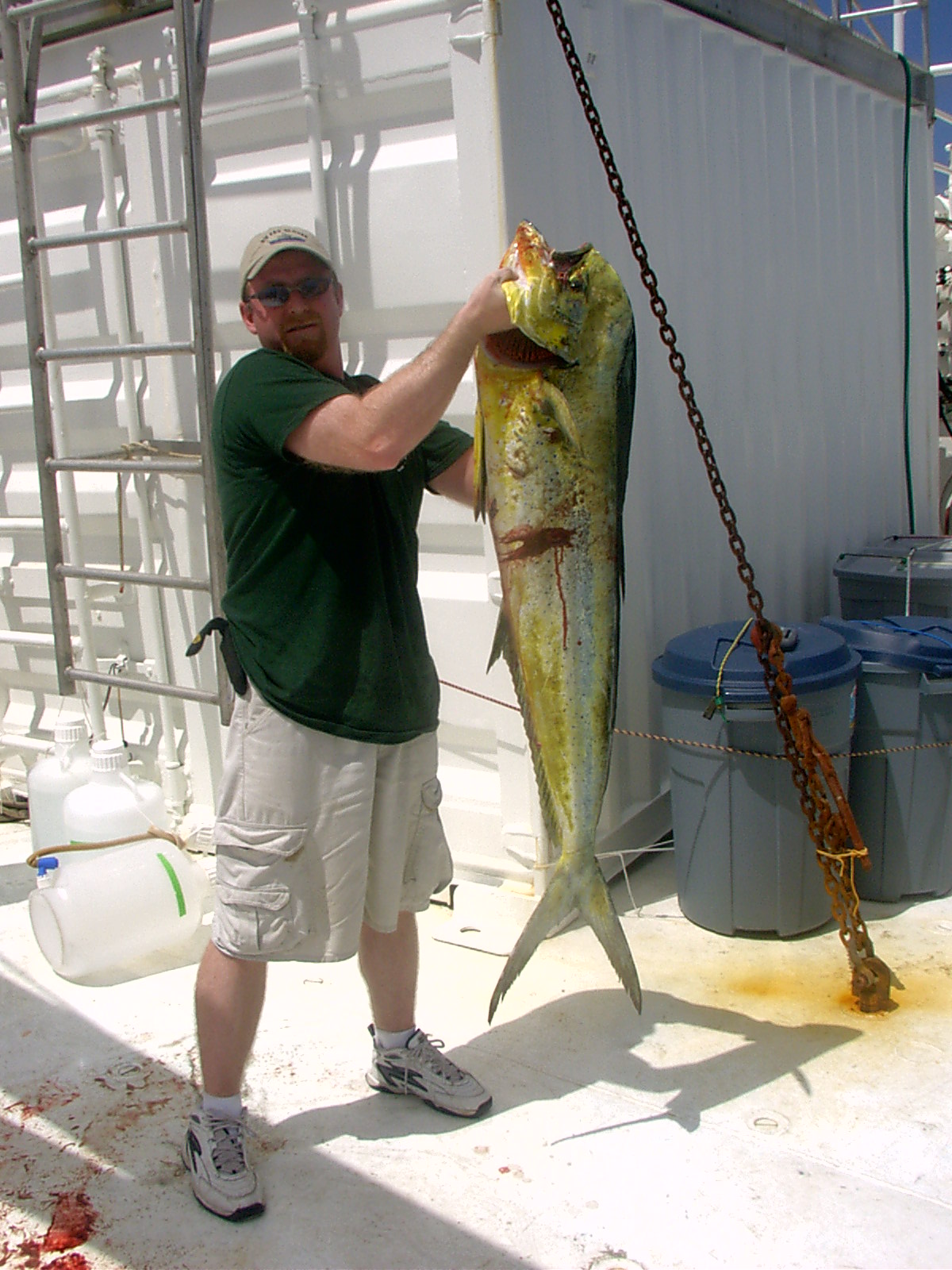 Peter Bernhardt – Marine Nitrogen & Carbon Biogeochemistry Research Group