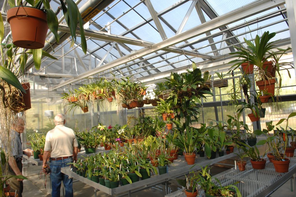 Arthur and Phyllis Kaplan Orchid Conservatory | Old Dominion University ...